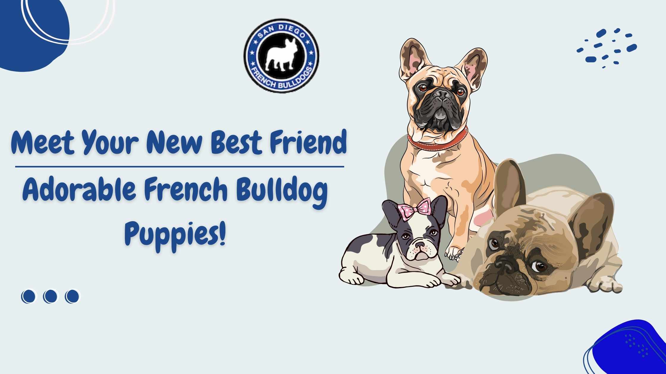 Meet Your New Best Friend: Adorable French Bulldog Puppies!